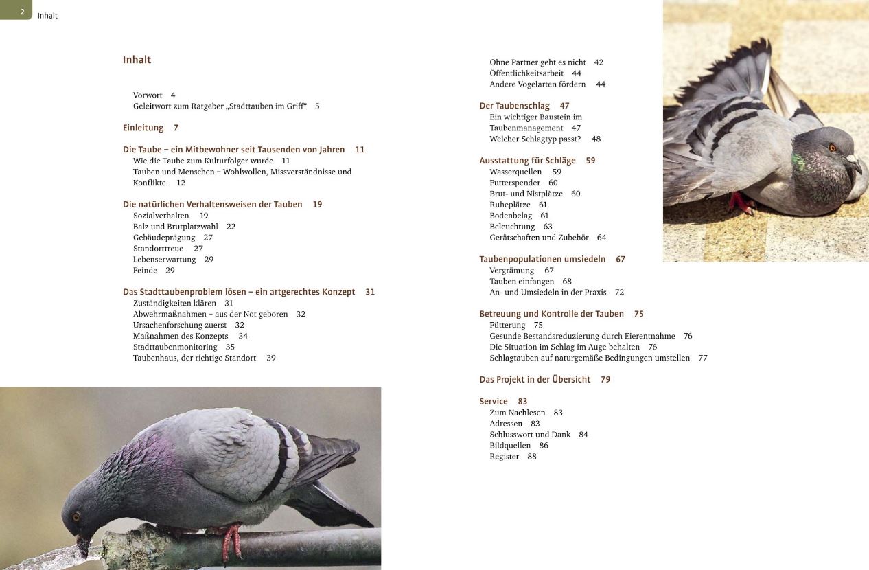 Taubenmanagement in Düsseldorf und Neuss | pro-palomas.de